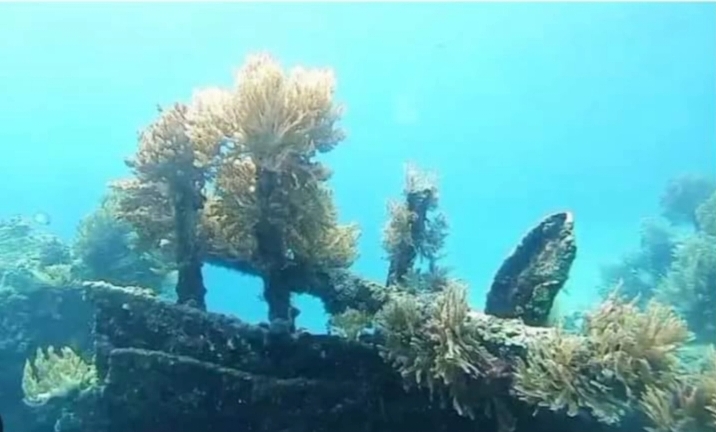 Joblar Snorkeling Rental - Boat Tours in Amed - Joblar Snorkeling ...